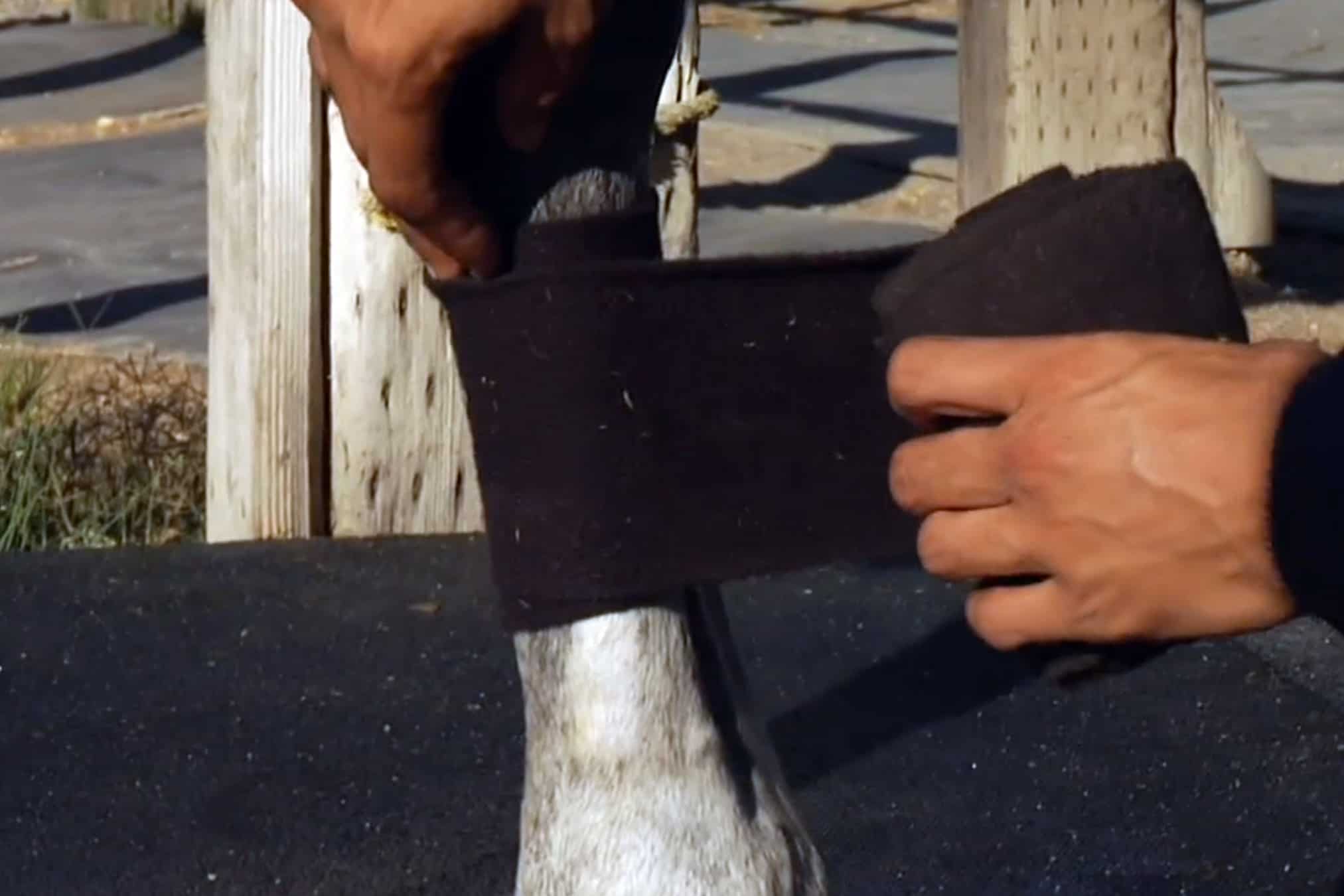 How to Apply Polo Wraps – The Horse
