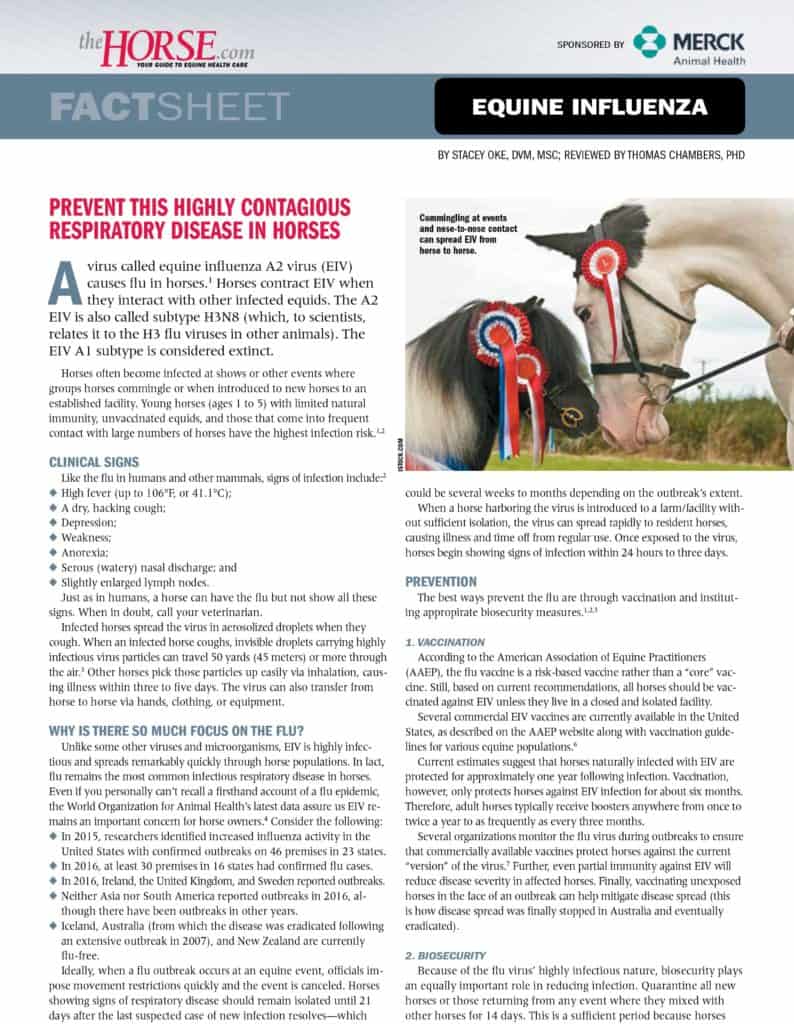 Equine Influenza: Protect Your Horse – The Horse