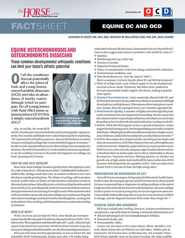 Fact Sheet: OCD in Horses – The Horse