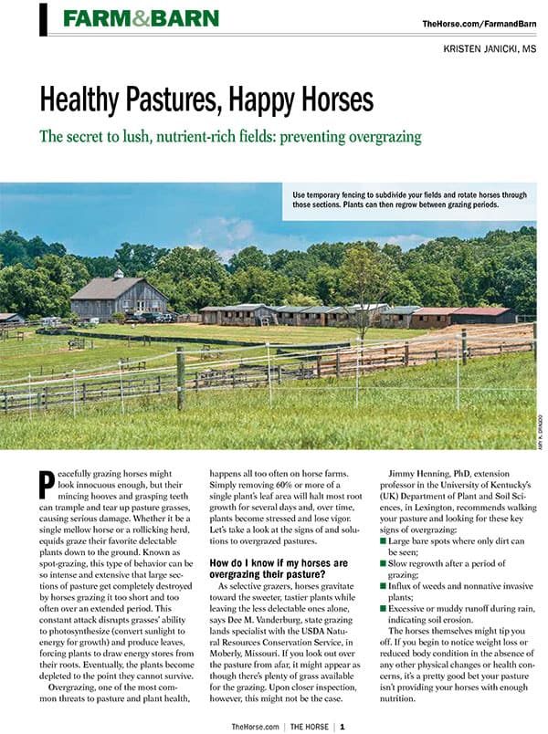 Healthy Pastures, Happy Horses – The Horse