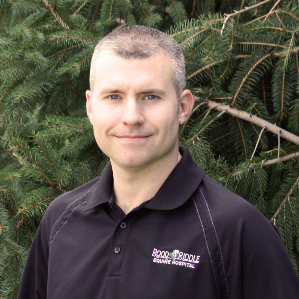 Horse Hoof Care Basics – The Horse