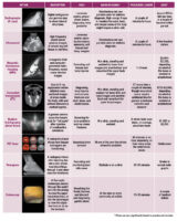 Equine Diagnostic Imaging: Know Your Options – The Horse