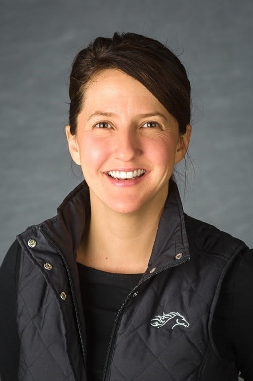 Equine Innovators: Horse Transport and Stress – The Horse