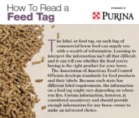 How To Read a Feed Tag – The Horse