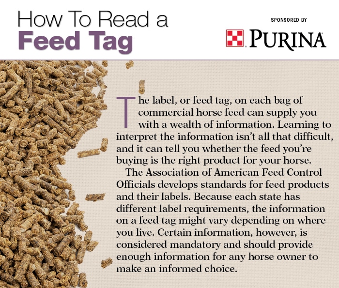 How To Read a Feed Tag – The Horse