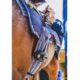 Heart Monitoring Devices for Horses – The Horse