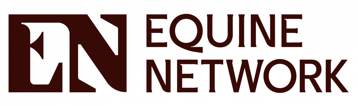 What Are Sidebone and Ringbone in Horses? – The Horse