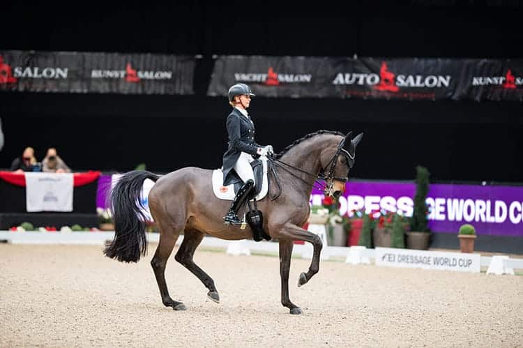 FEI Moves to Raise Equine Welfare Standards – The Horse