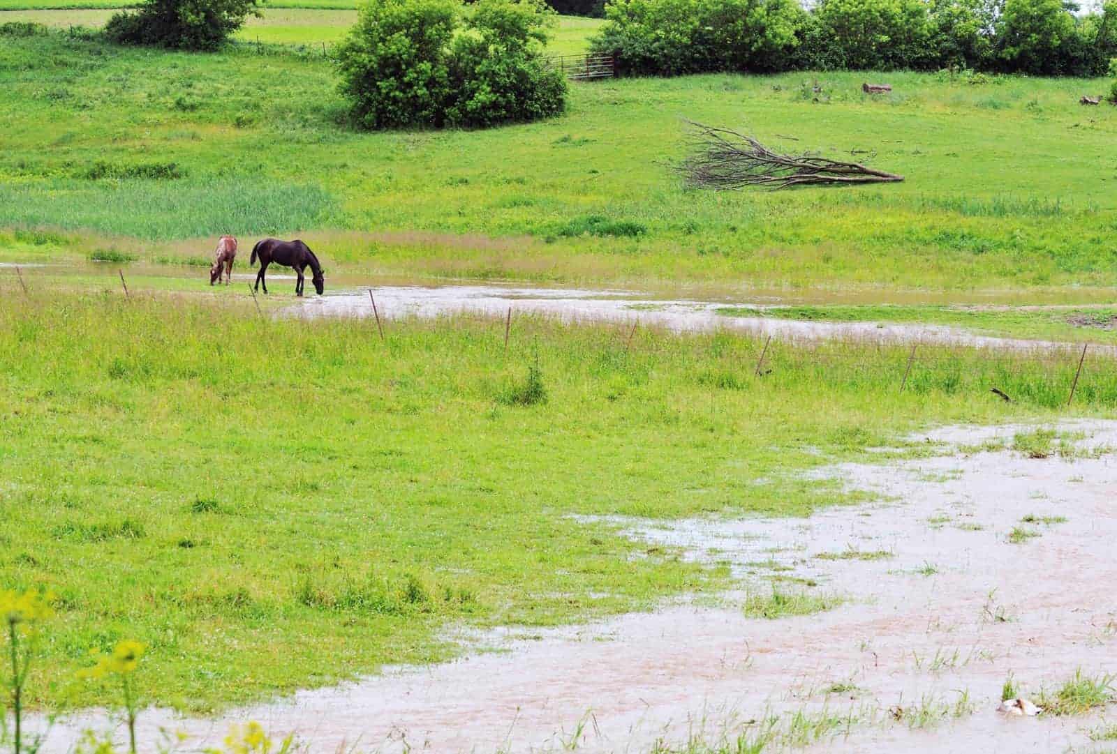 Dealing With Mud and Flooding on Horse Properties – The Horse