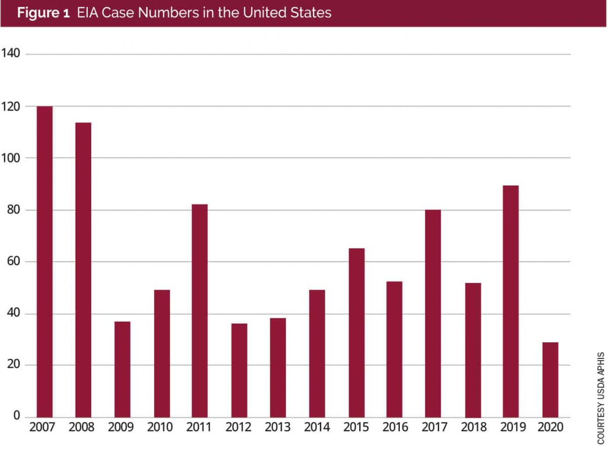 What Happened to an EIA-Free America? – The Horse