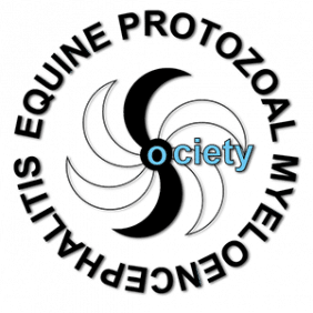 The AAEP Horse Lameness Scale Explained – The Horse