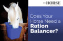 How to Choose a Ration Balancer for Your Horse – The Horse