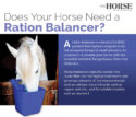 Does Your Horse Need a Ration Balancer? – The Horse