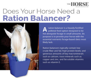 Does Your Horse Need a Ration Balancer? – The Horse