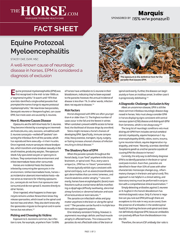 Veterinarians Explore Alternative Approach to Managing EPM in Horses ...