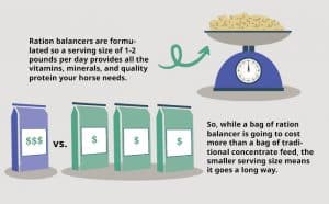 Does Your Horse Need a Ration Balancer? – The Horse