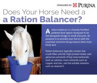 Does Your Horse Need a Ration Balancer? – The Horse