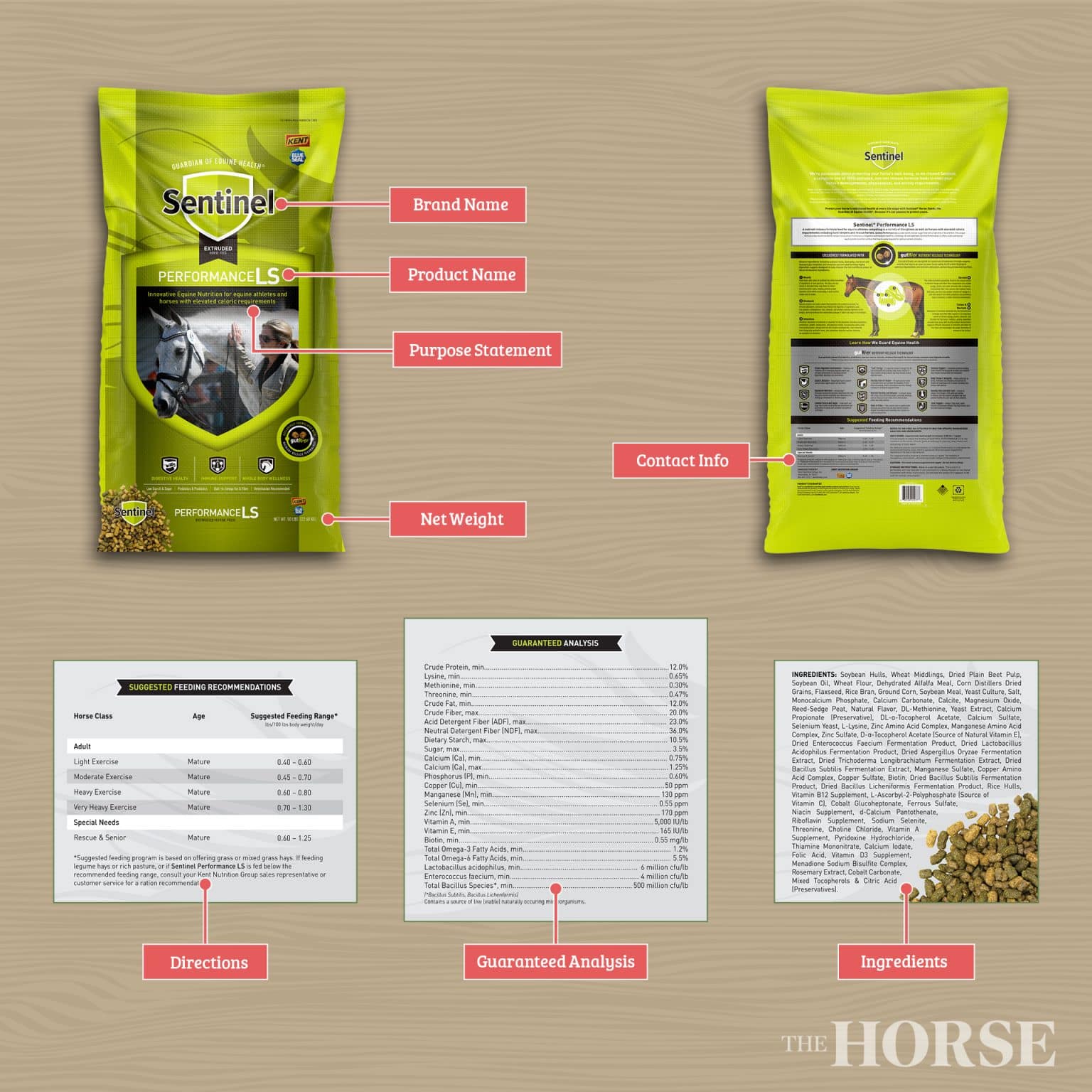 How To Feed Your Horse – The Horse