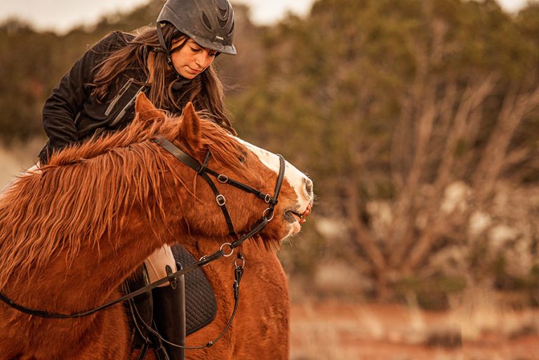 Understanding Classical Conditioning in Horses – The Horse
