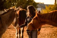 Understanding Classical Conditioning in Horses – The Horse
