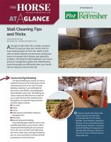 Horse Stall Cleaning Tips and Tricks – The Horse