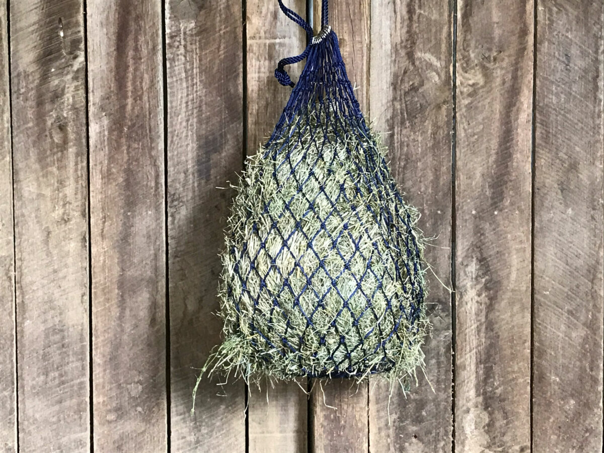 Hay Nets, Horse Body Weight, Body Condition, and Dental Health – The Horse