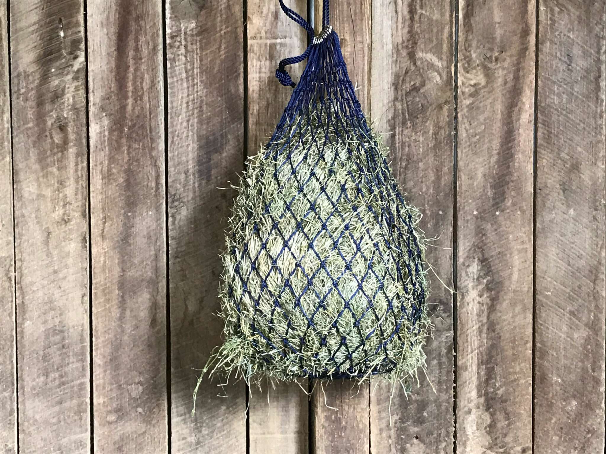 Hay Nets, Horse Body Weight, Body Condition, and Dental Health – The Horse