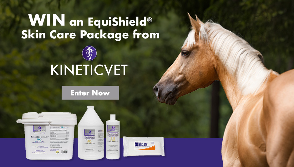KineticVet Shiniest Horse Contest 2024 – The Horse