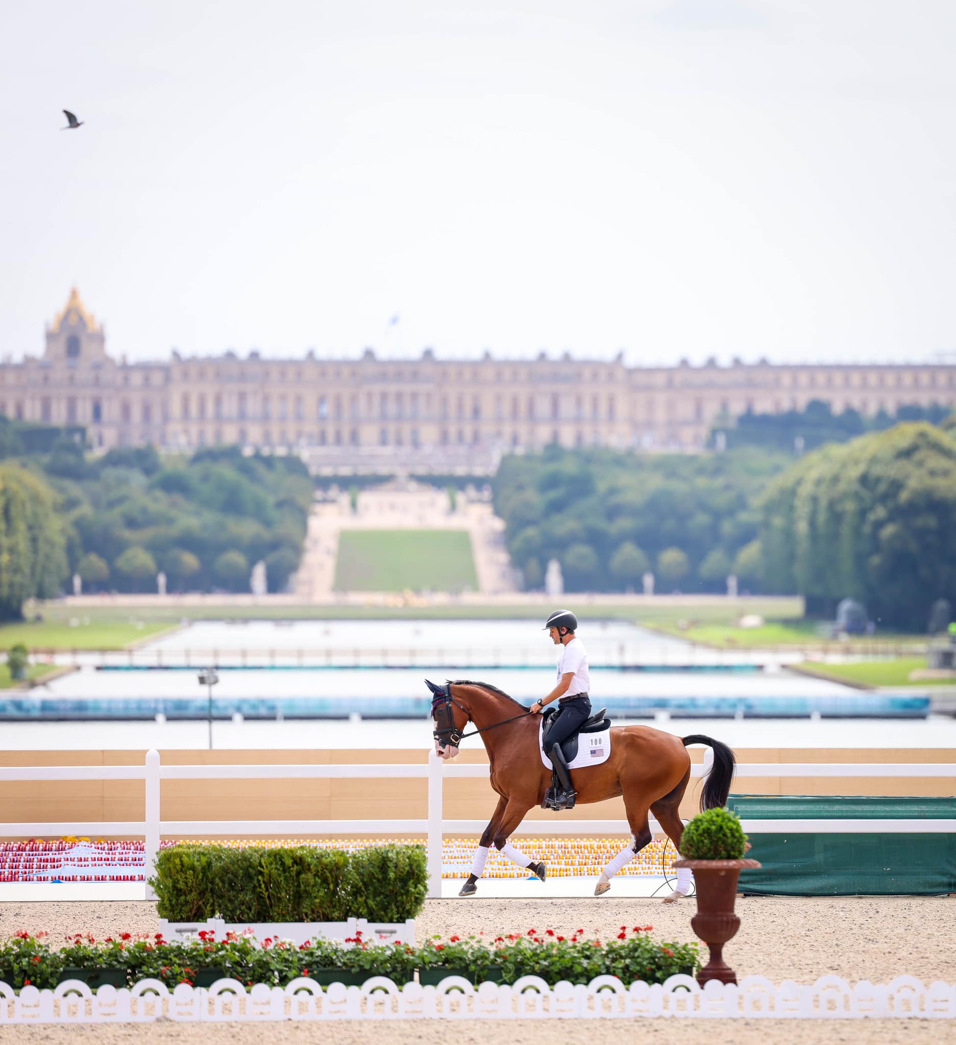 Boyd Martin on Essential Conditioning for Olympic Horses