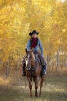 The Challenges of Managing Podotrochlosis in Horses Long-Term – The Horse