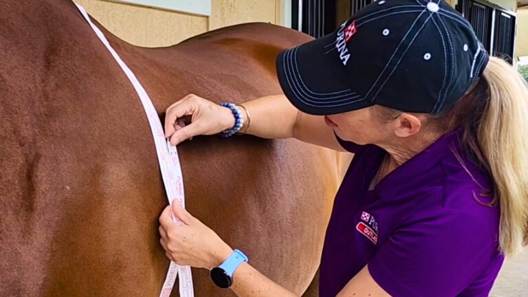 Purina Animal Nutrition announces ambition for every horse in America ...