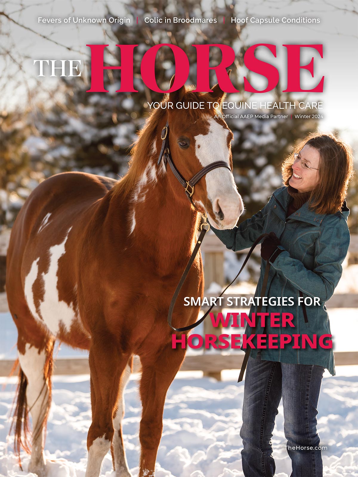 Horse Topline-Building Tips – The Horse