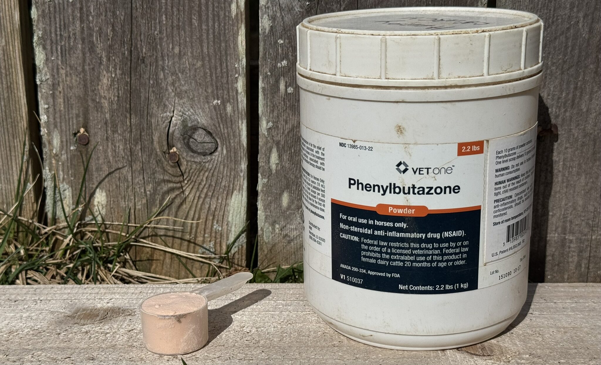 Understanding, Recognizing, and Managing Pain in Horses