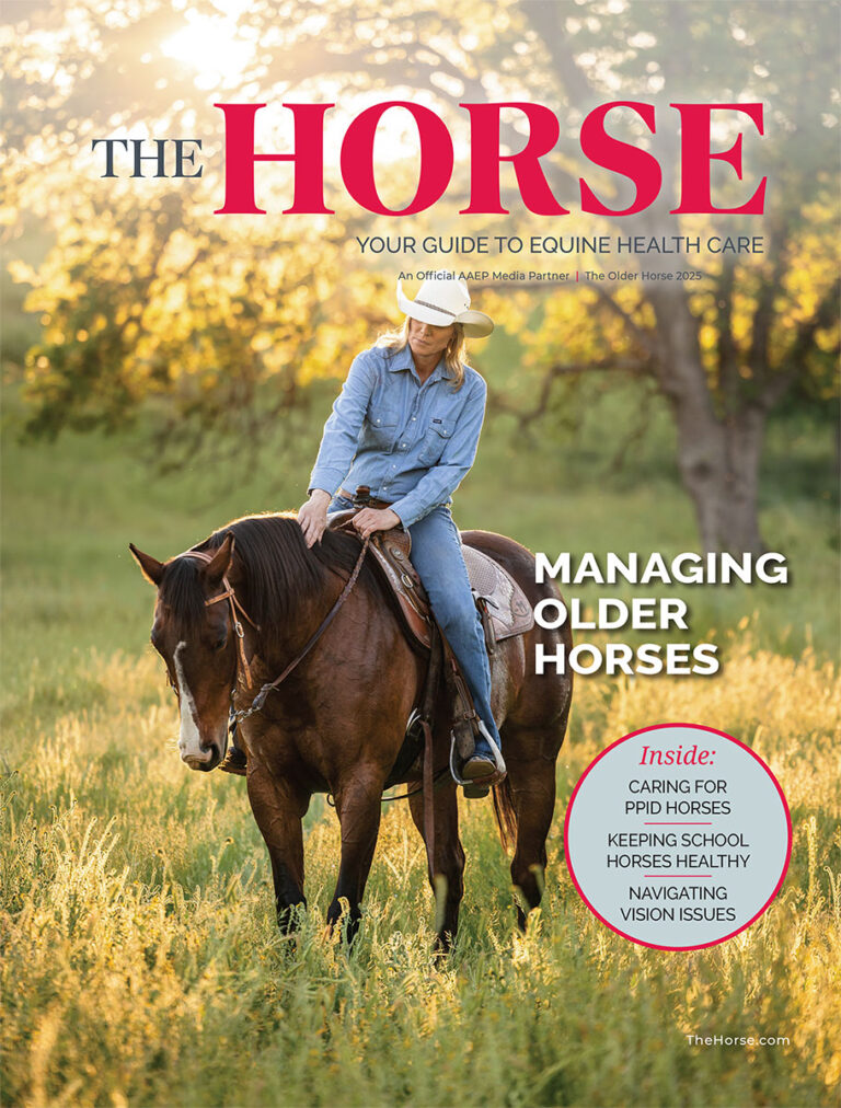 Equine Abaxial Sesamoid Nerve Blocks and Diagnostic Imaging – The Horse