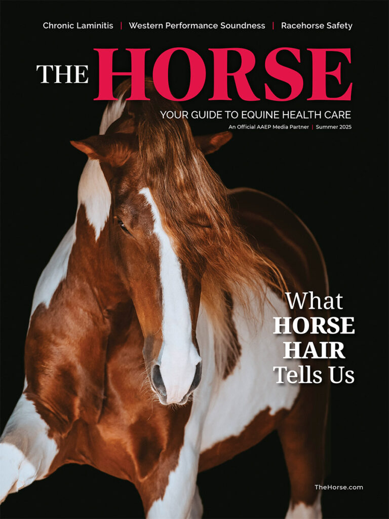 Diagnosing and Treating Poll Pain in Horses – The Horse