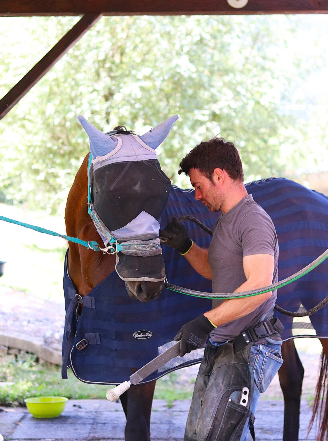 5 Ways to Keep Your Horse Relaxed During Farrier Visits – The Horse