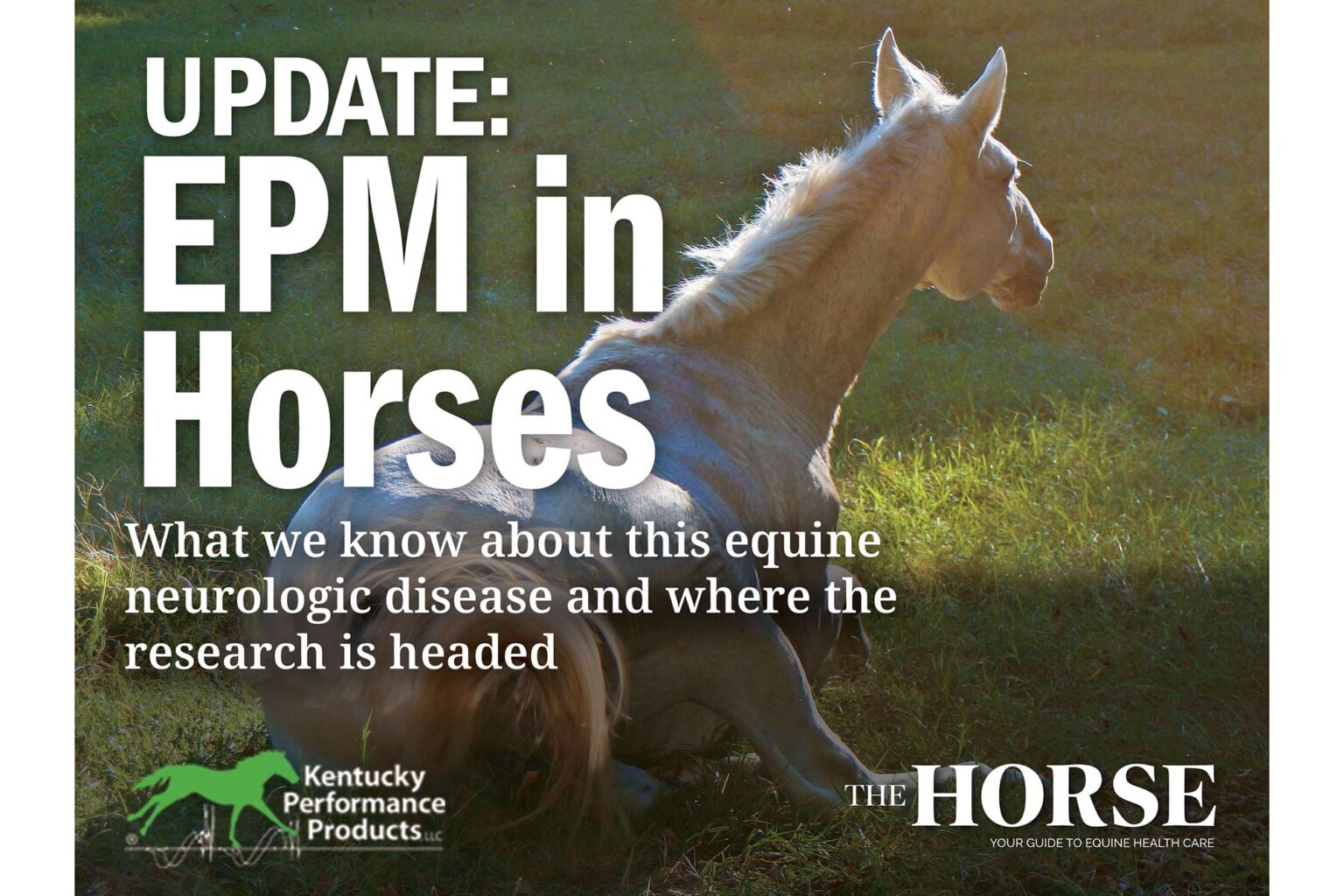 Features – The Horse