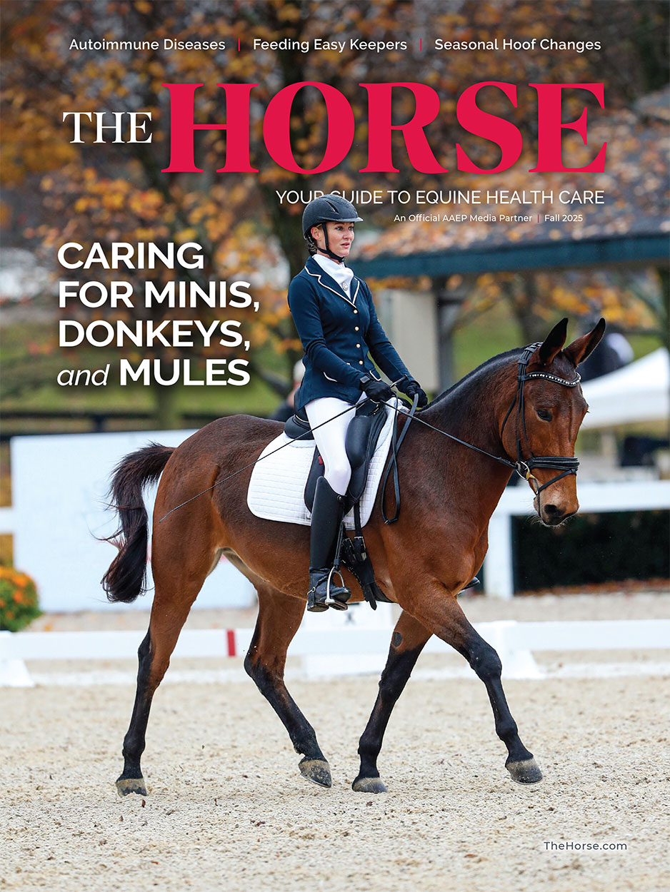 8 Steps for Breeding Your Mare – The Horse