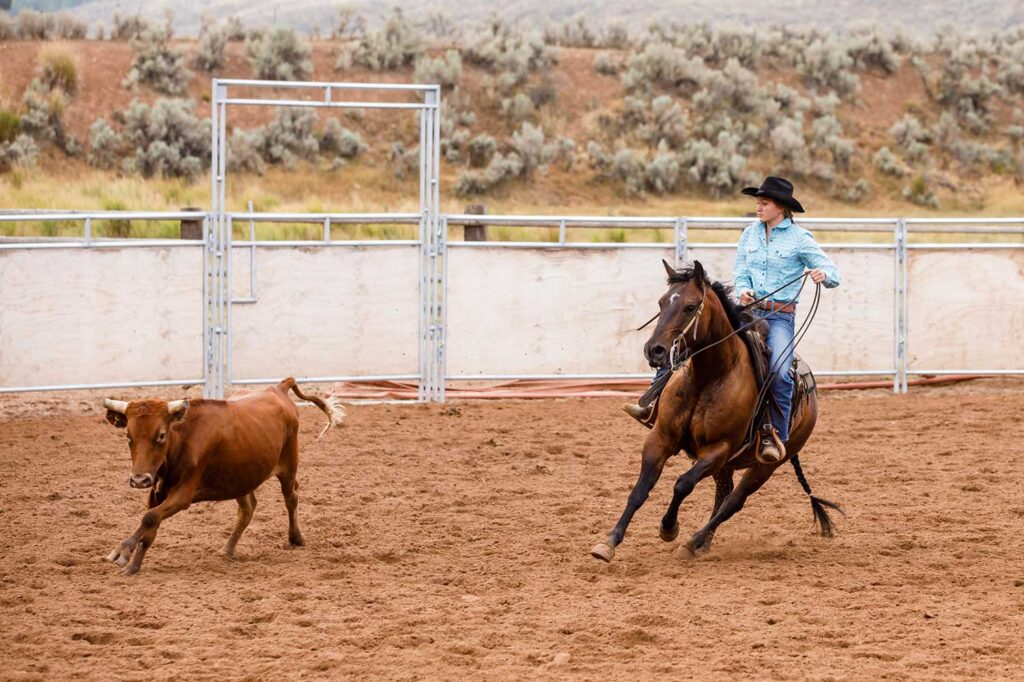 Article Archives – The Horse