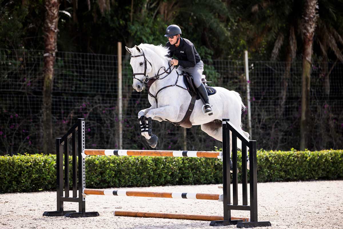 Optimizing Your Horse’s Performance Through Nutrition – The Horse