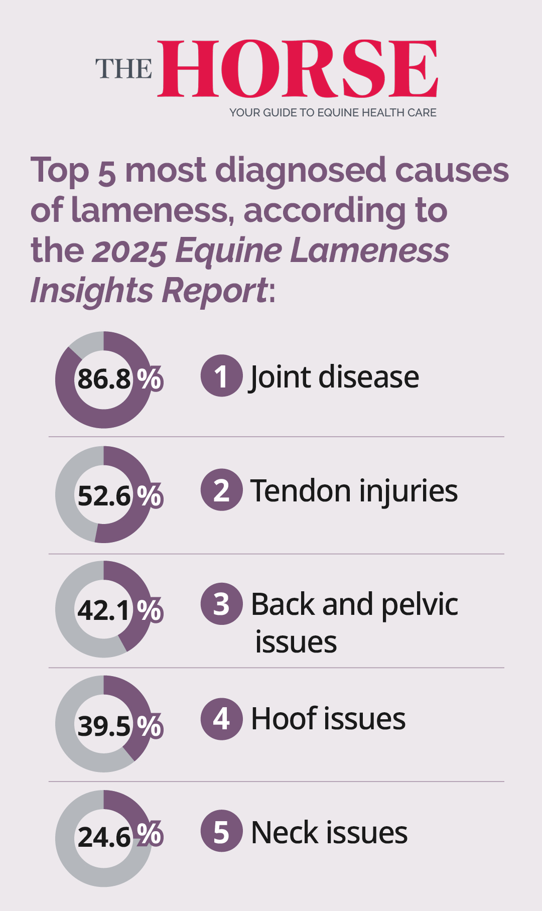 The Equine Lameness Exam Workup Explained – The Horse