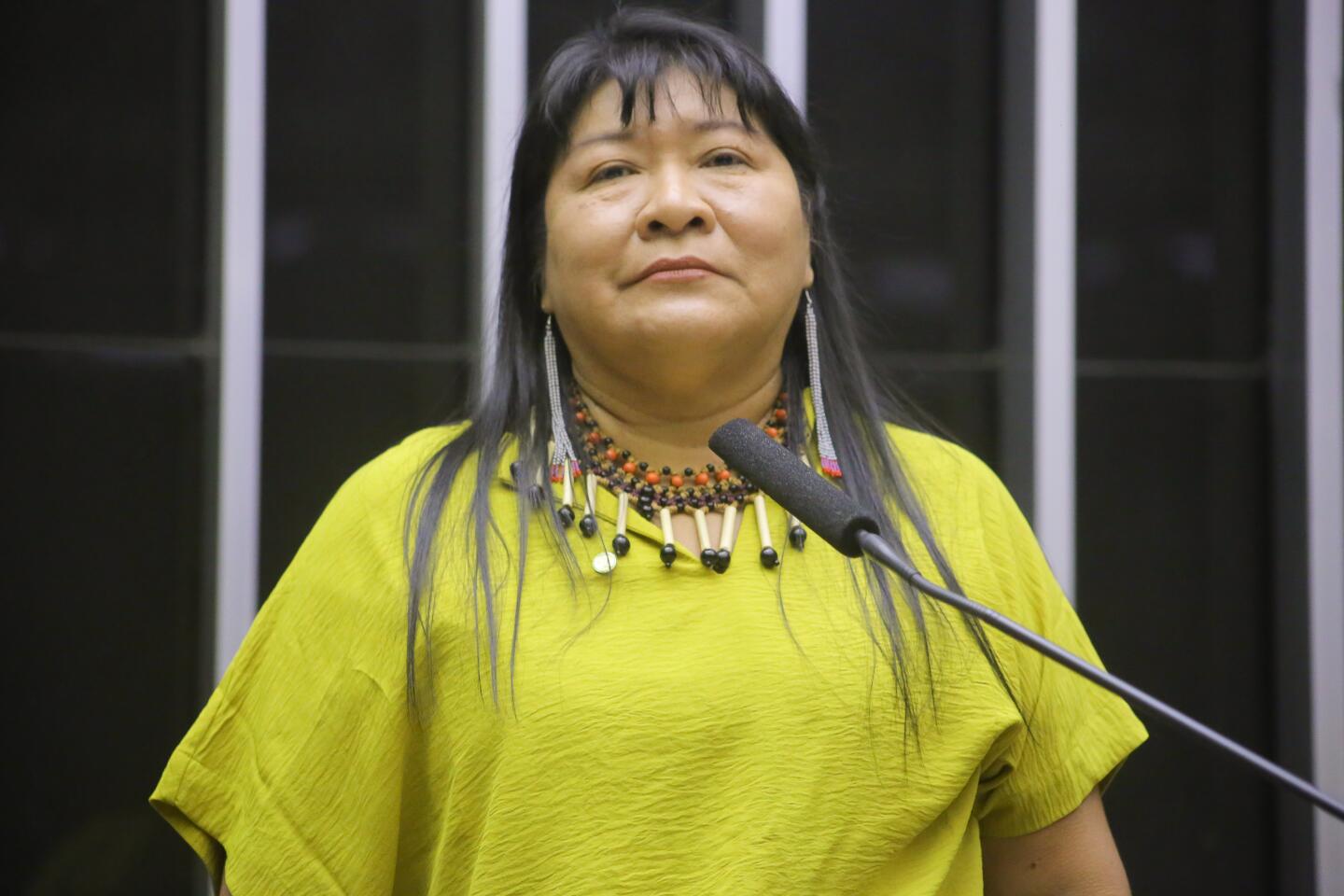 Maial, descendant of the political warriors of the Kayapo, fights for a ...
