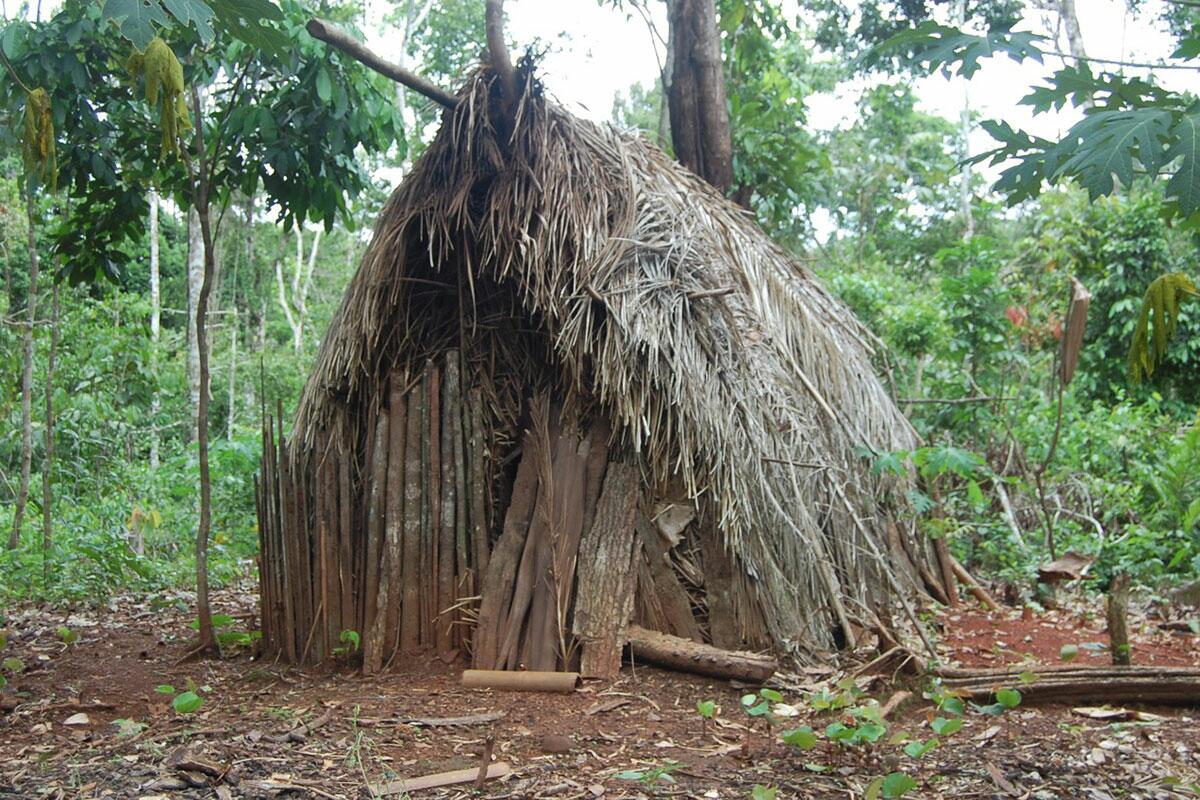 Even after his lonely, ritual death, the indigenous 'Man of the Hole ...