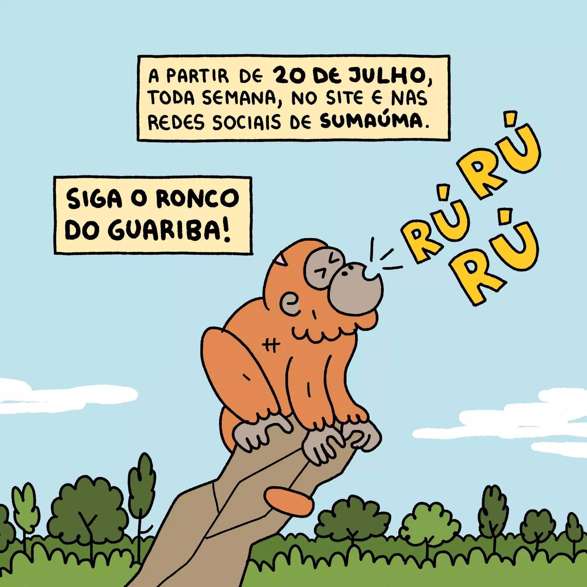 SUMAÚMA – O ano em imagens - SUMAÚMA