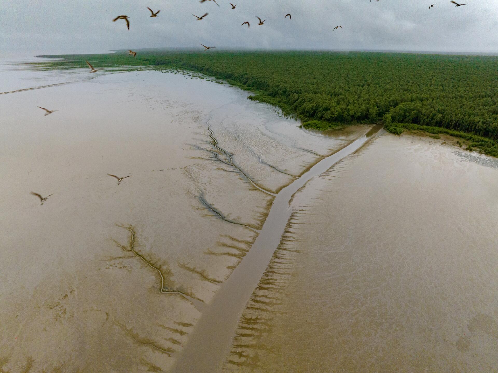 'Drilling for oil in the Amazon is a contradiction in terms,' says ...