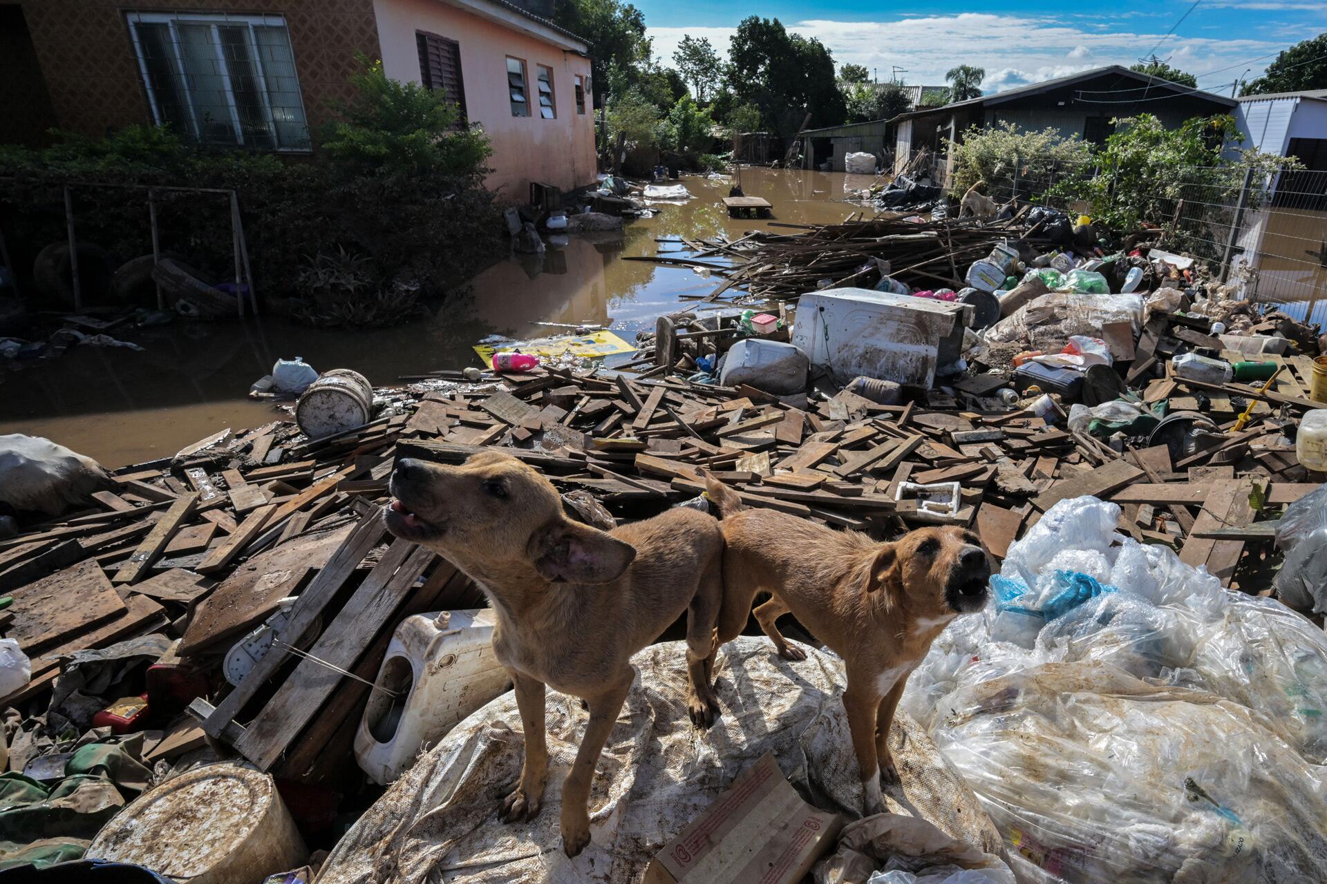'Agora somos nós em um barco de resgate, tendo que contar ao mundo que ...
