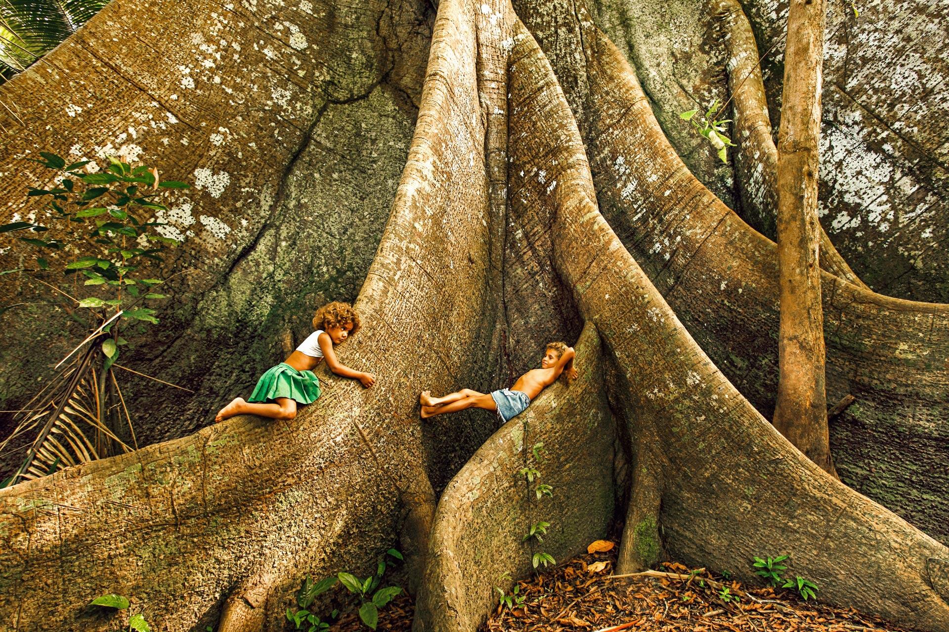‘The Forest really is a perfect society’ - SUMAÚMA