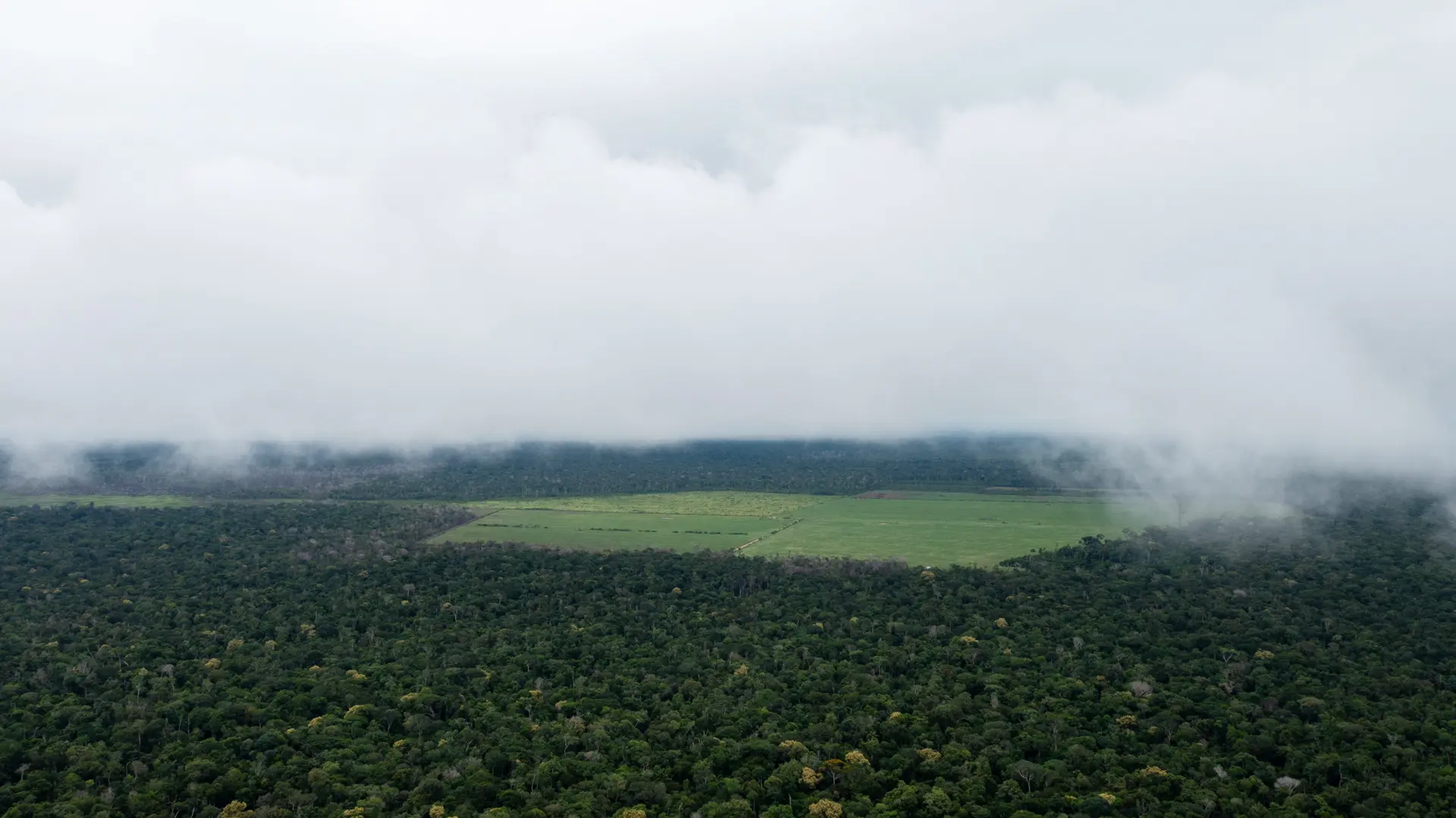 COP30 executive director, Ana Toni: “We have to move beyond the bounds ...