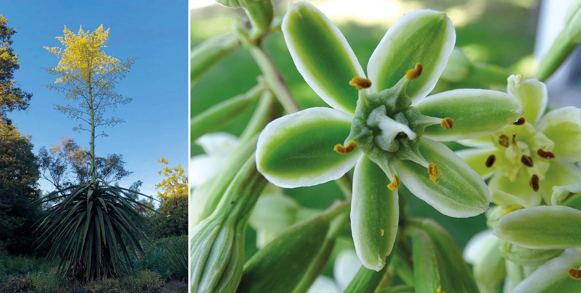 Jorge Comensal: ‘Nature isn't a place for recreation, but rather the ...