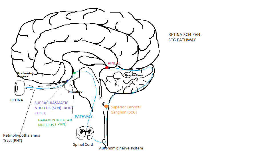 The destruction of Society’s social fabric and anti-psychotic drugs ...